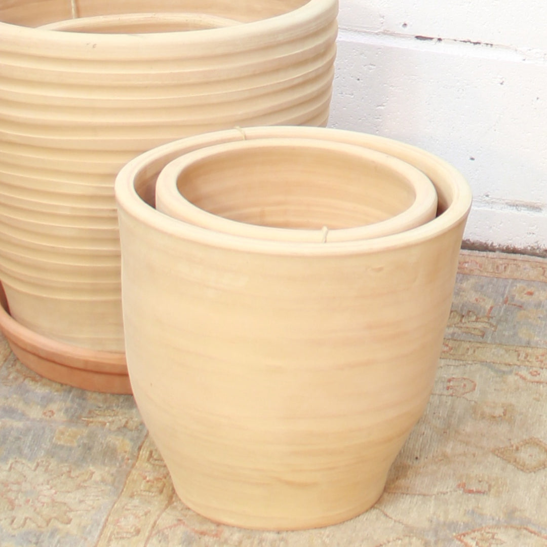 Plant Menu – Promise Supply