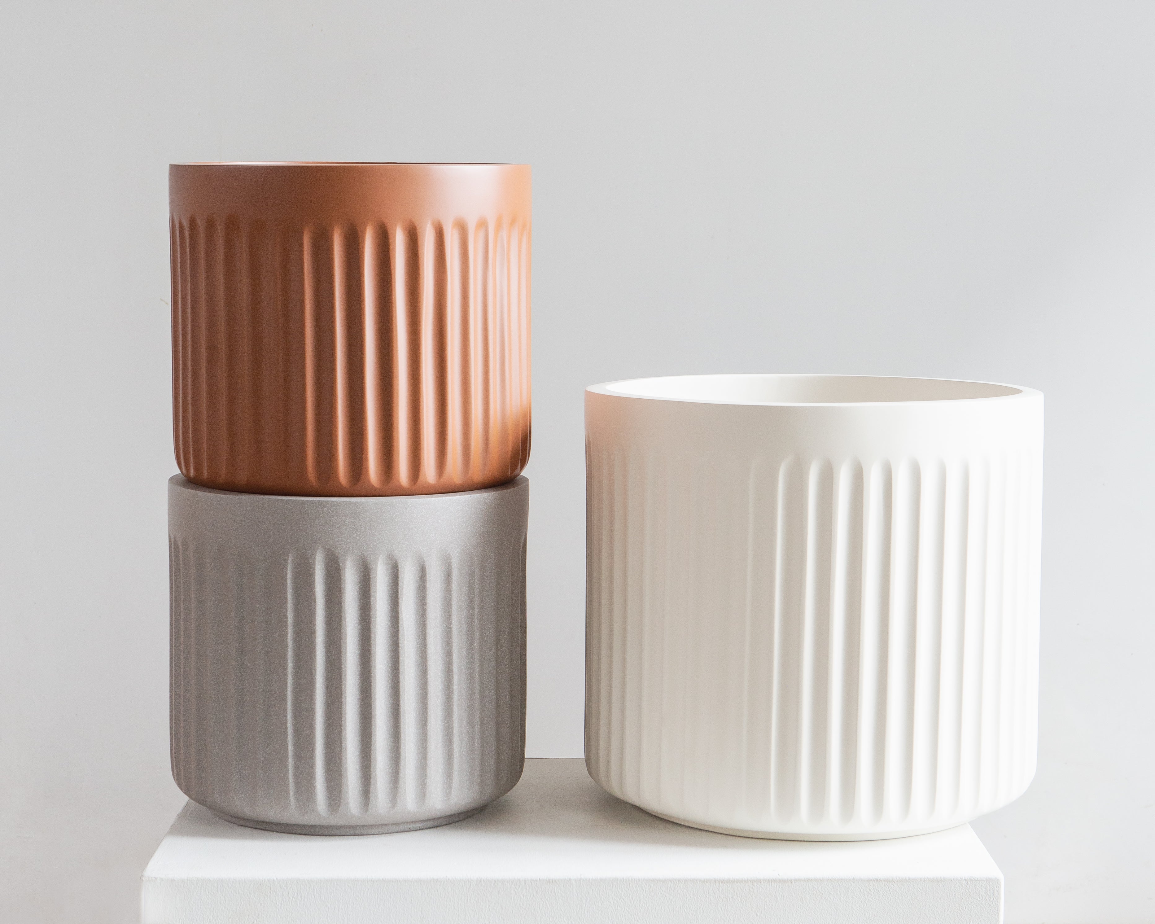 Staggered Corn Plant: Dracaena massangeana - 14 inch pot - 6-7 foot ta ...