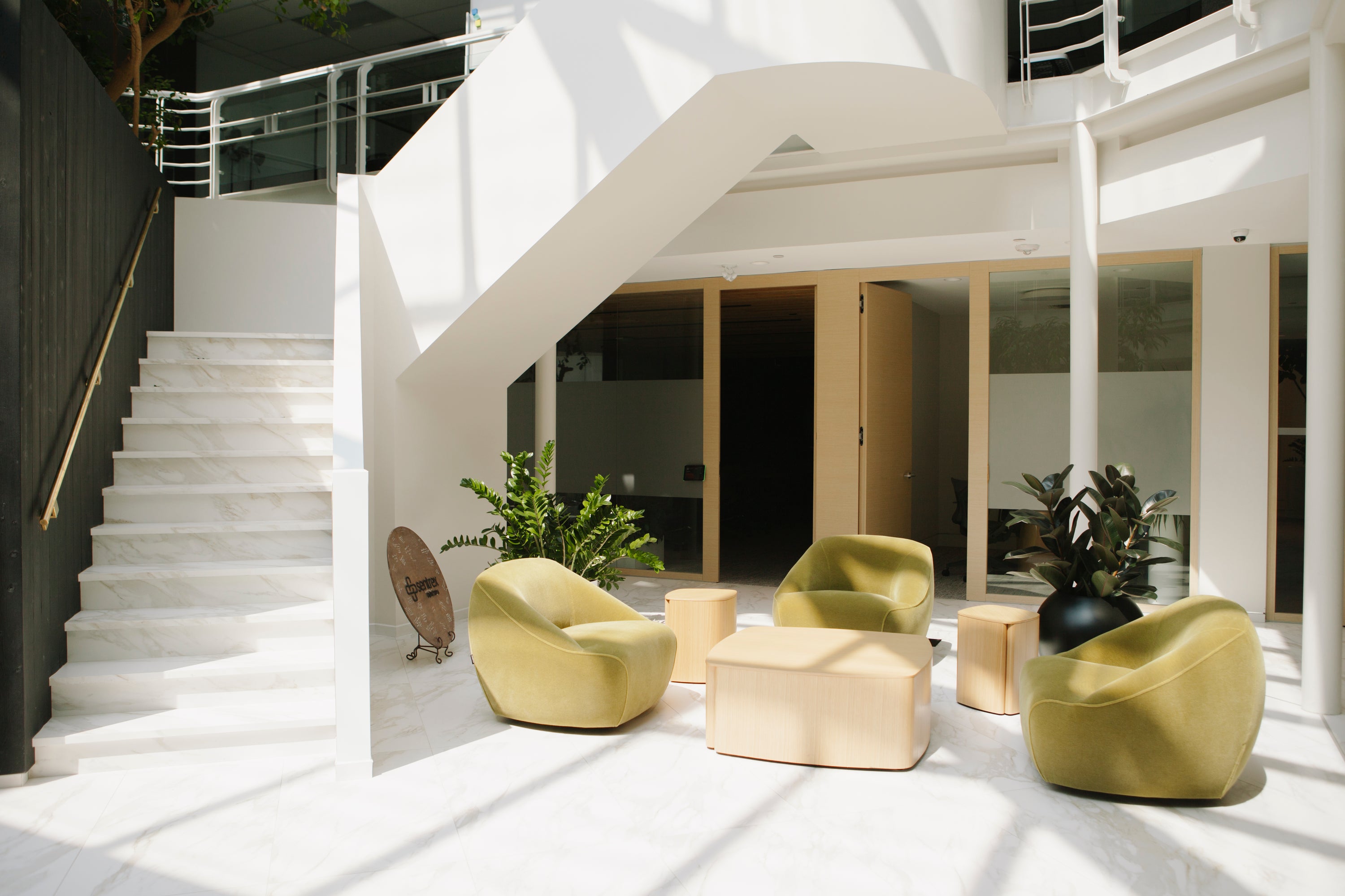 PROMISE: Toronto-Based Plant Store + Designers | Online and In Store ...