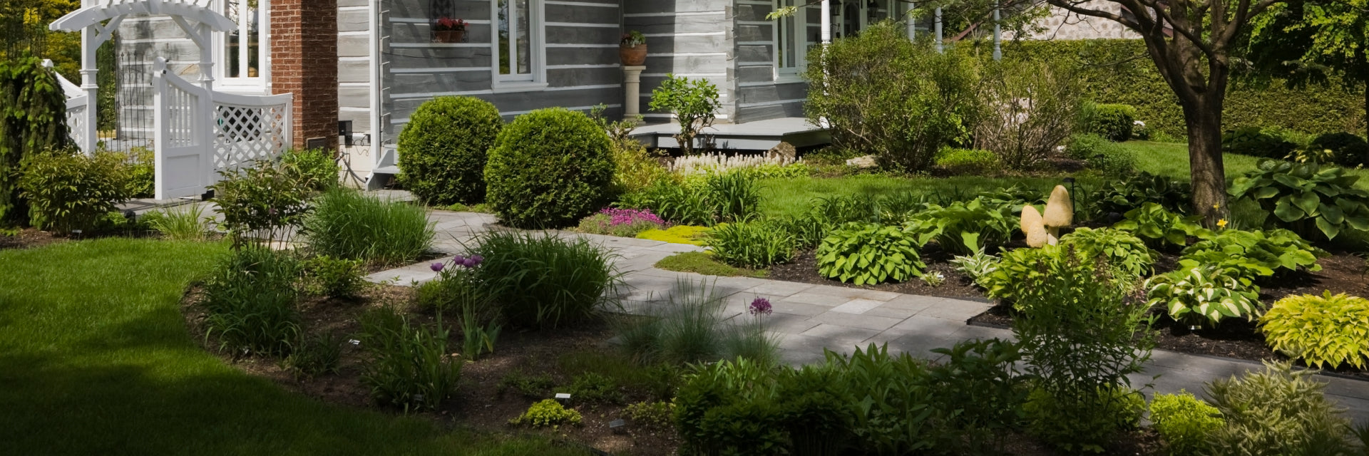 Toronto-Based Tropical Plant Store | Shop Online and In Store – Promise ...